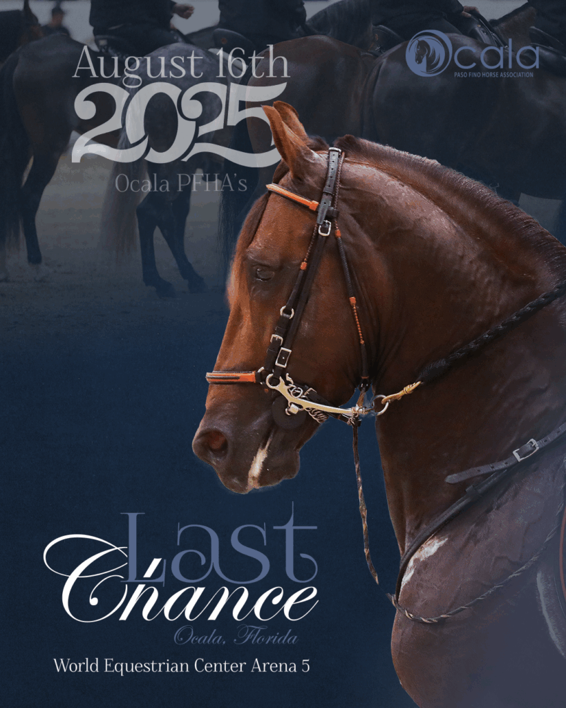Last Chance Show - Ocala Paso Fino Horse Association